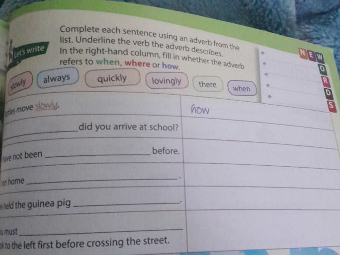 Complete each sentence using an adverb from | StudyX