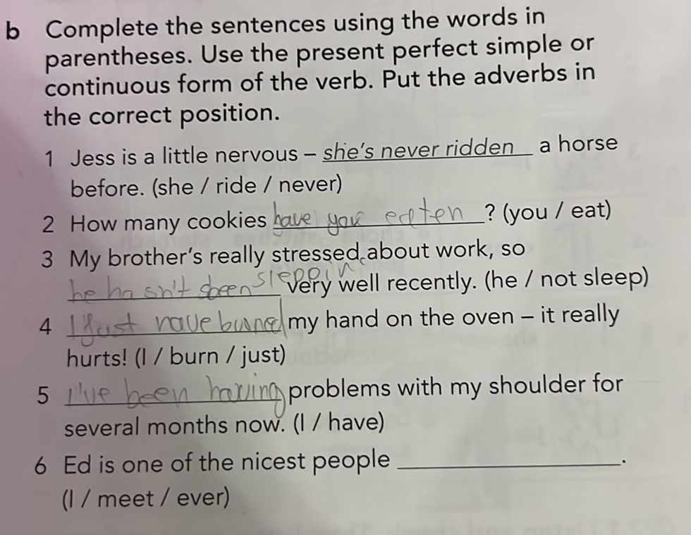 Complete the sentences using the words in | StudyX