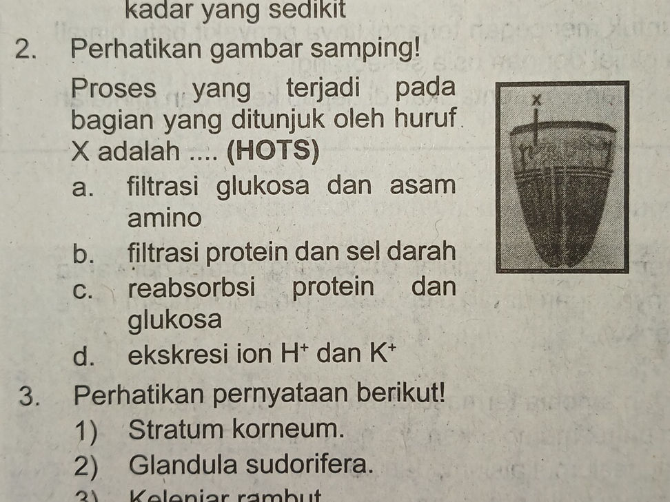 2. Perhatikan gambar samping! Proses yang | StudyX