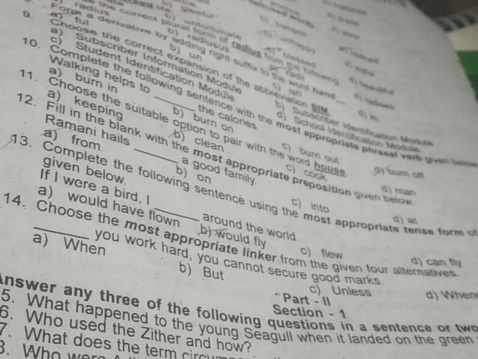 Choose the correct plural of radius from the