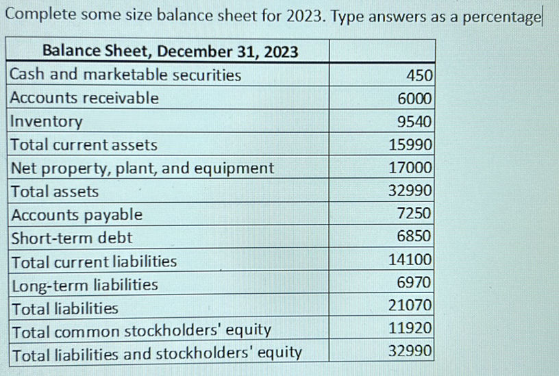 Complete some size balance sheet for 2023. | StudyX
