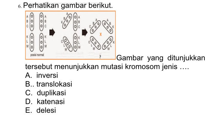 6. Perhatikan gambar berikut. Diagram of | StudyX