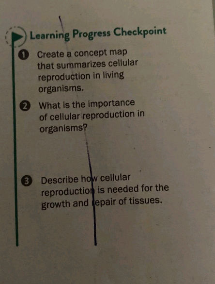 1 Create a concept map that summarizes | StudyX