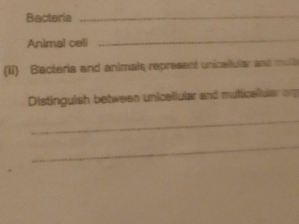 (ii) Bacteria and animals represent | StudyX