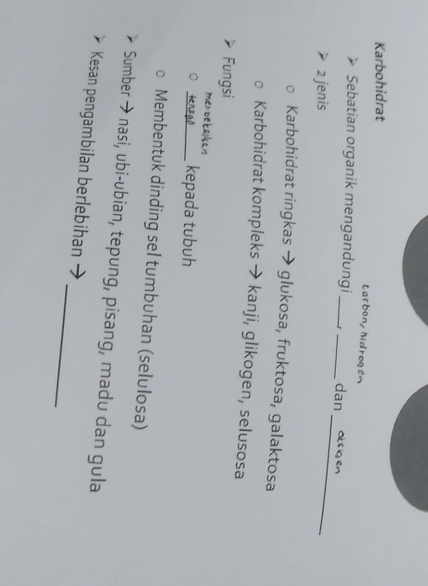 Karbohidrat Sebatian organik mengandungi | StudyX