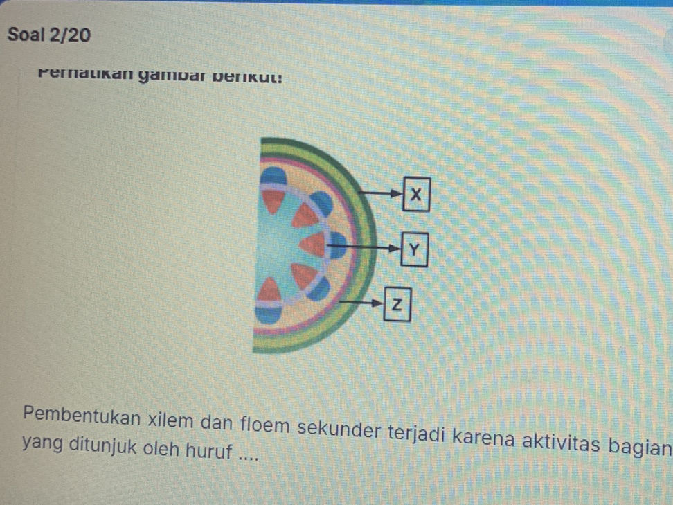 Perhatikan gambar berikut: X Y Z | StudyX