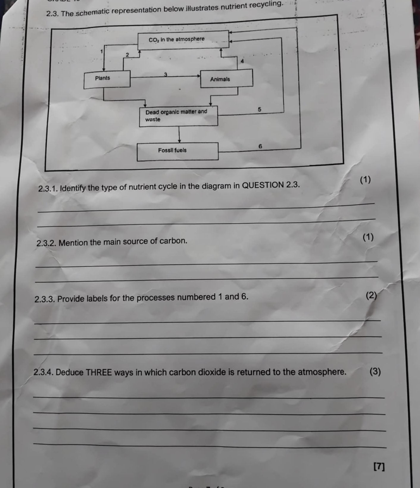 2.3. The schematic representation below | StudyX
