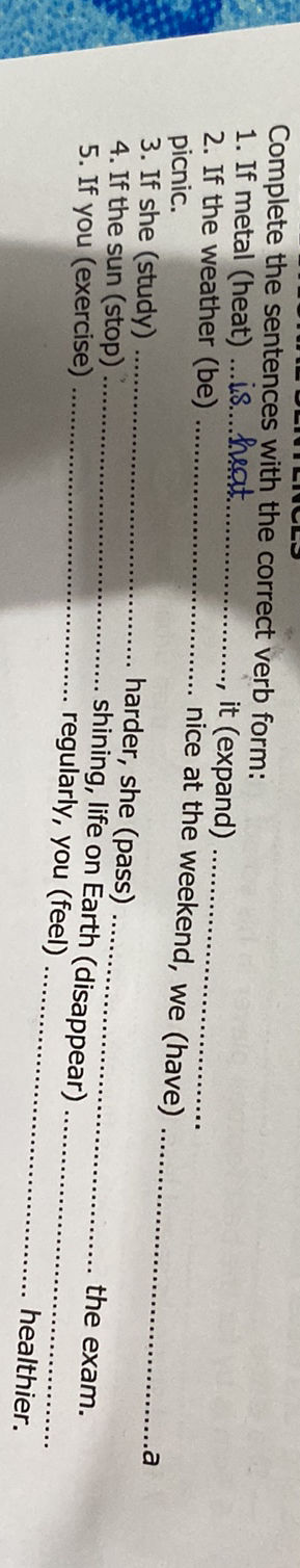 Complete the sentences with the correct verb | StudyX