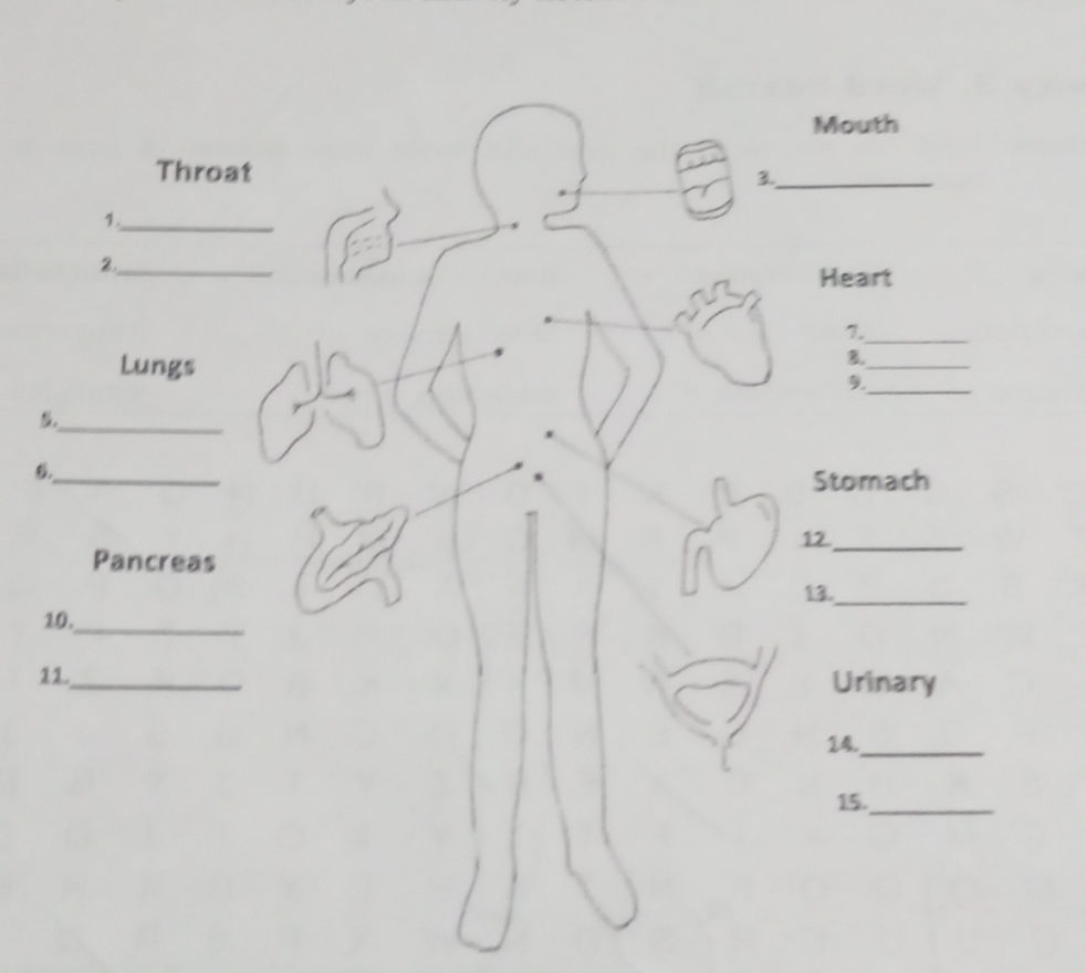 Label the following parts of the human body. | StudyX