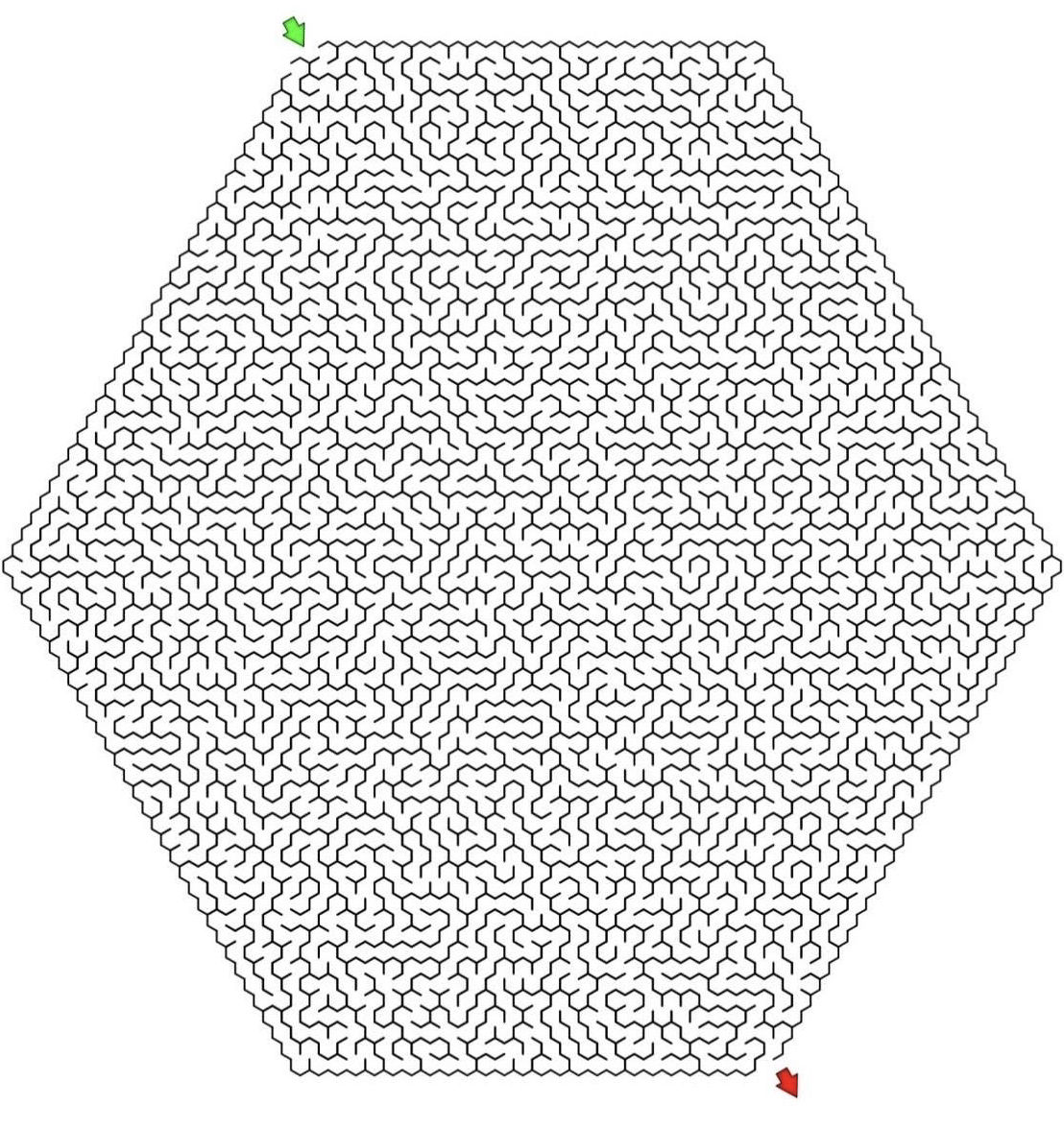The image presents a complex hexagonal maze. | StudyX