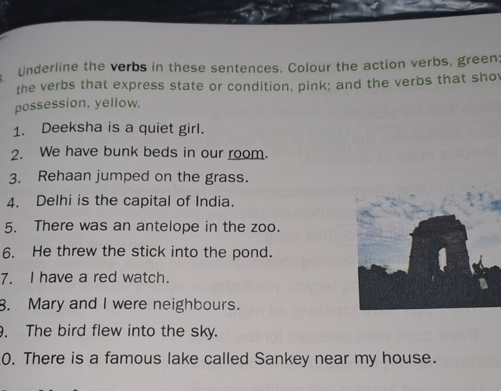 Underline the verbs in these sentences. | StudyX