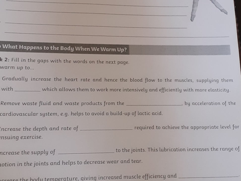 What Happens to the Body When We Warm Up? | StudyX