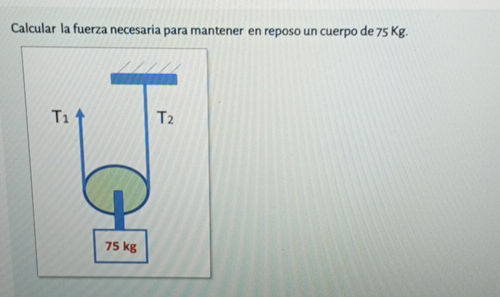 Calcular la fuerza necesaria para mantener | StudyX