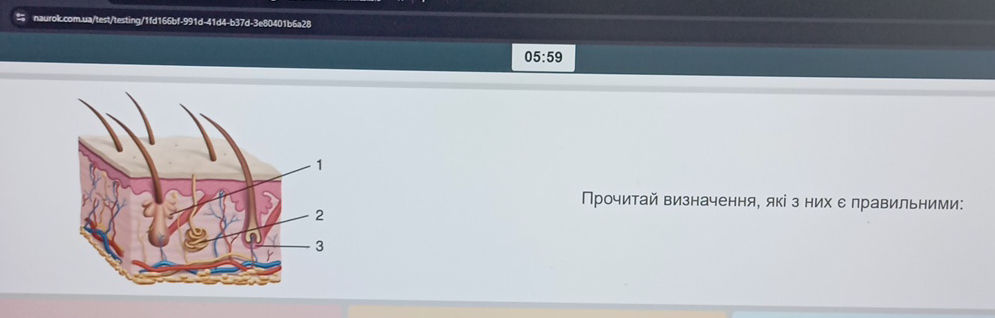 The image shows a diagram of a cross-section | StudyX