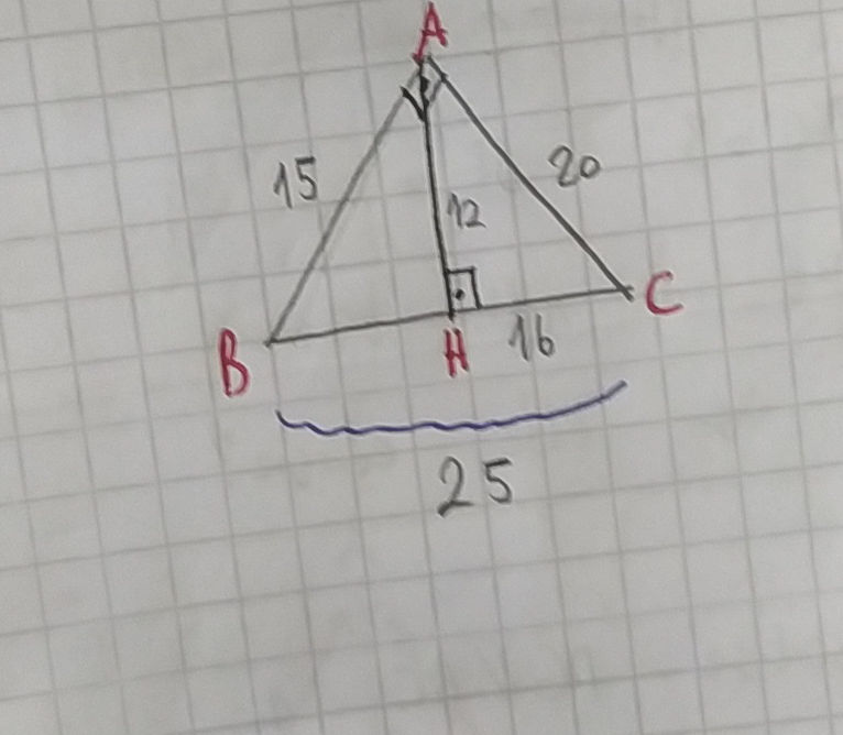 The image shows a right triangle ABC with a | StudyX