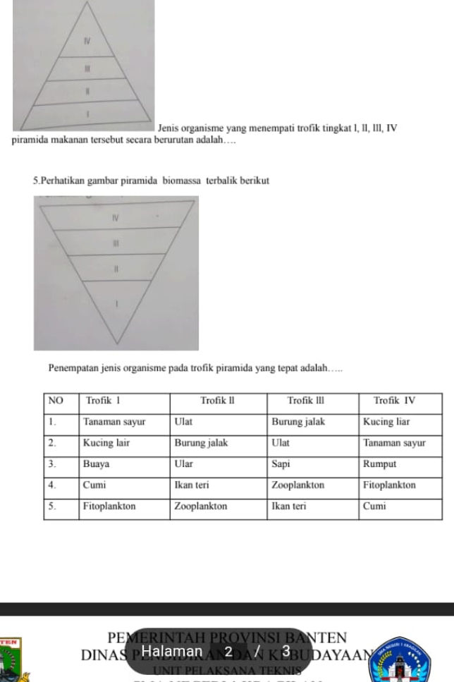 Jenis organisme yang menempati trofik | StudyX