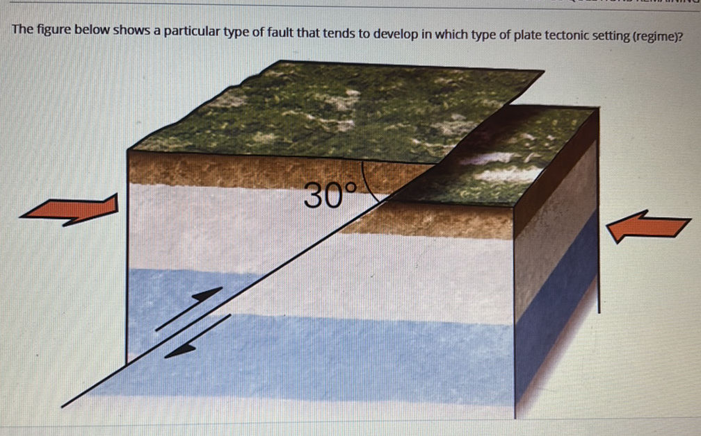 The figure below shows a particular type of | StudyX