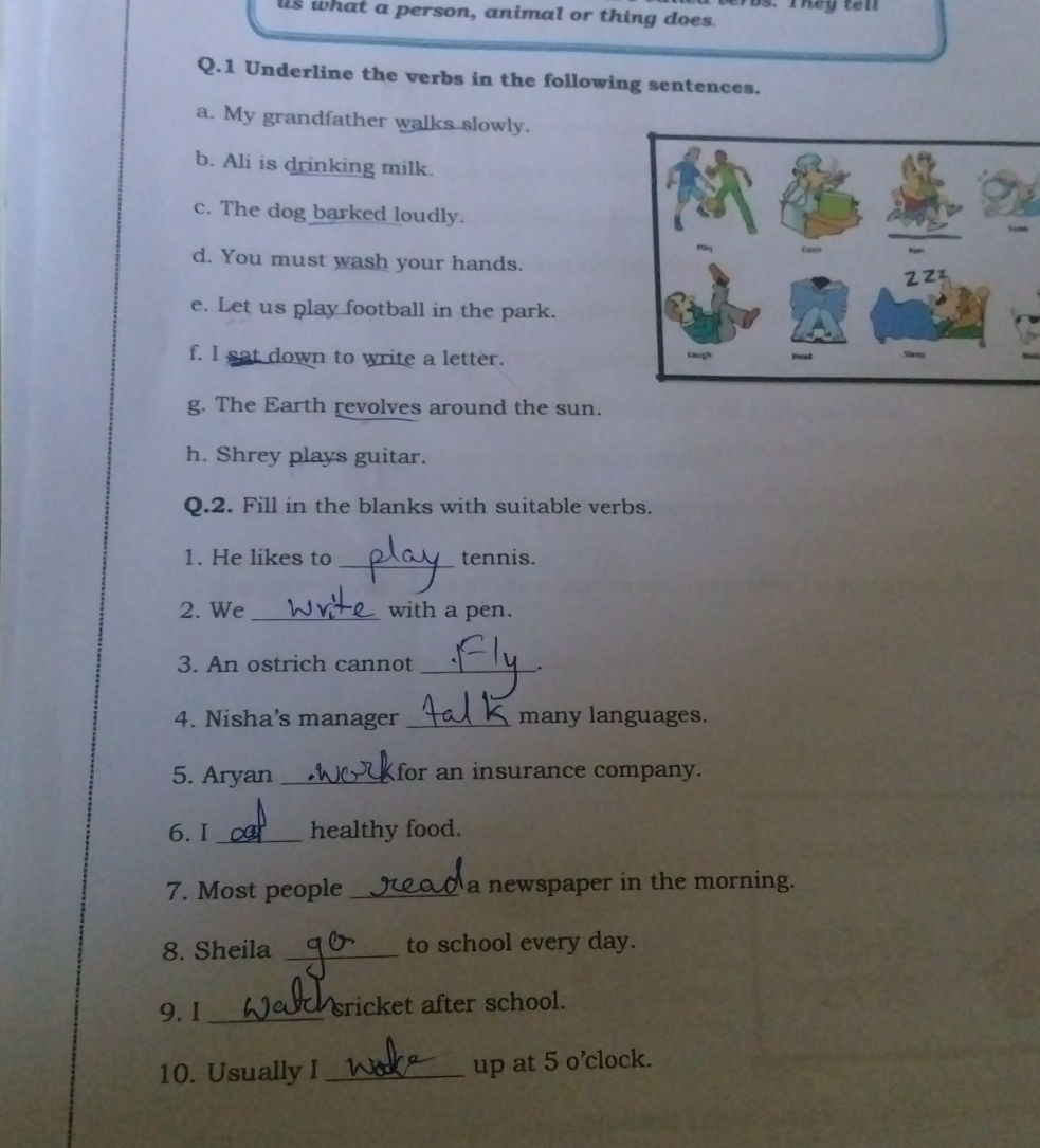 Q.1 Underline the verbs in the following | StudyX