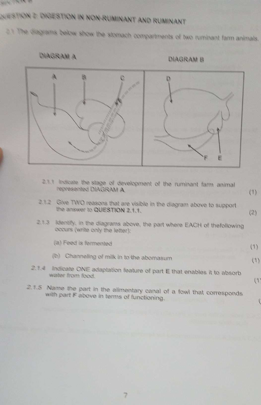 QUESTION 2: DIGESTION IN NON-RUMINANT AND | StudyX