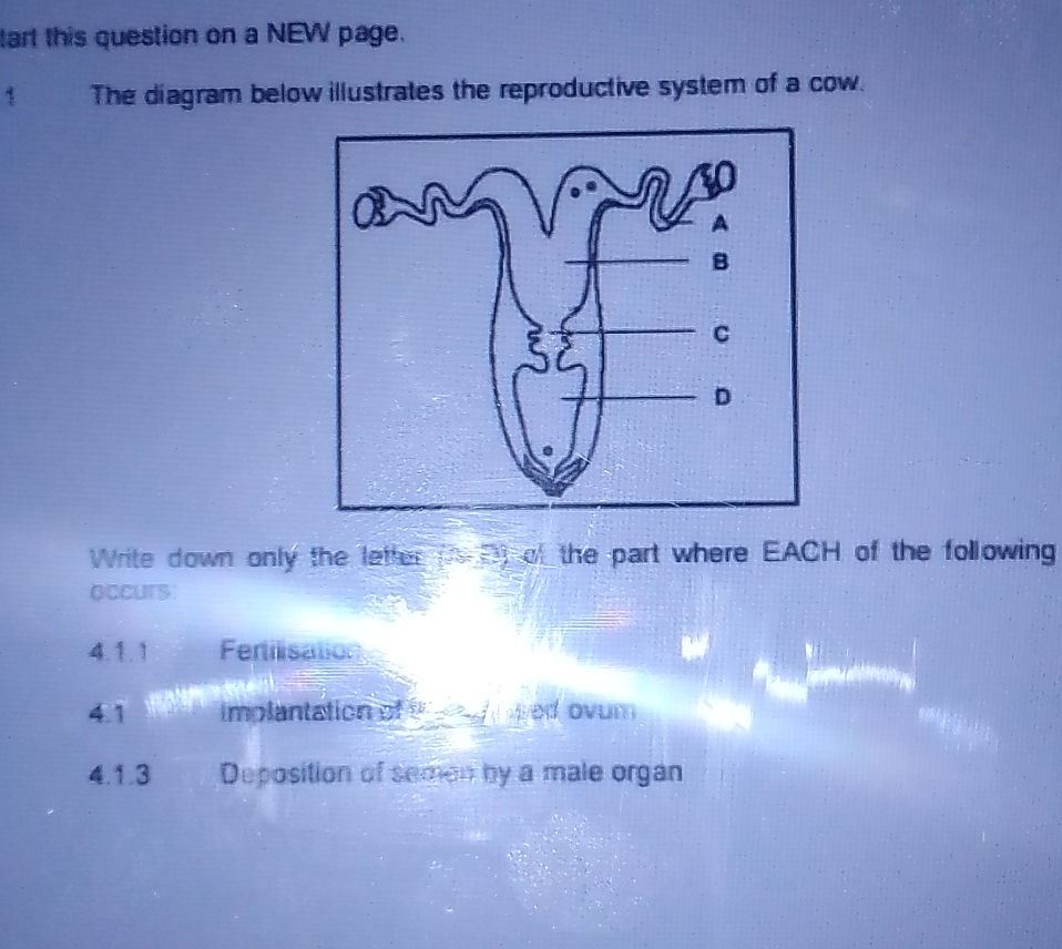 The diagram below illustrates the | StudyX
