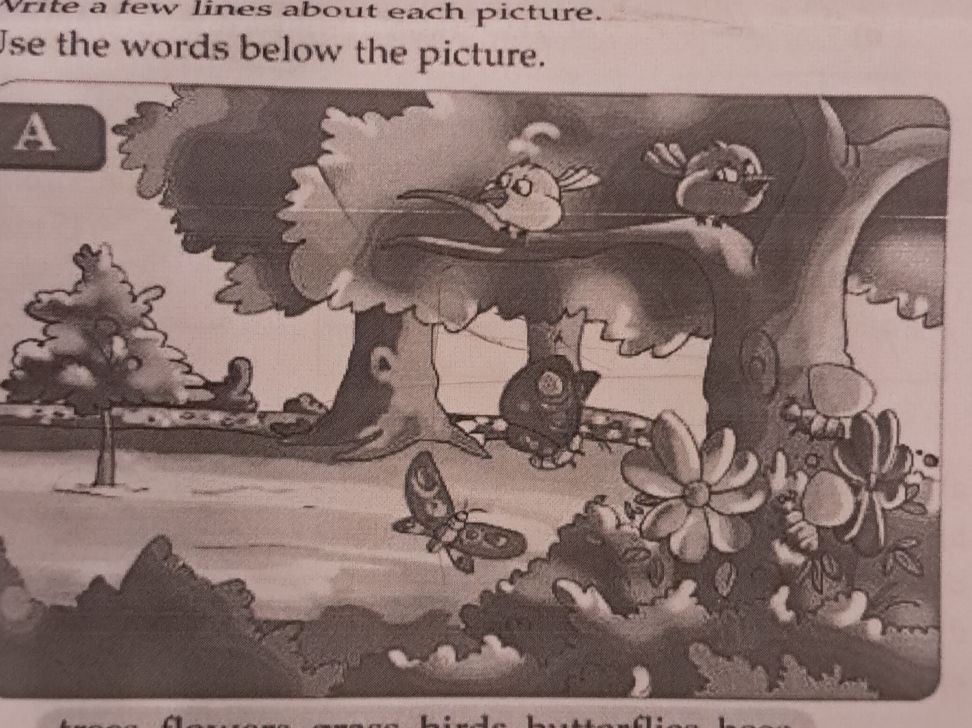 Write a few lines about each picture. Use | StudyX