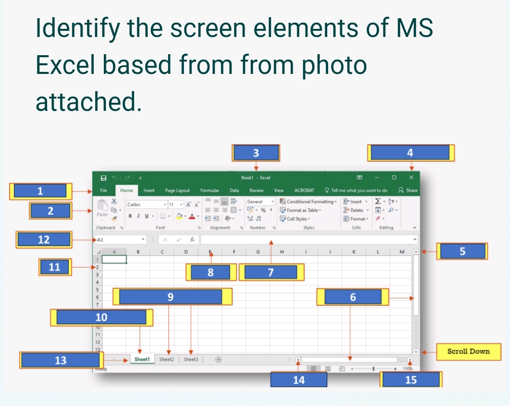 Identify the screen elements of MS Excel | StudyX