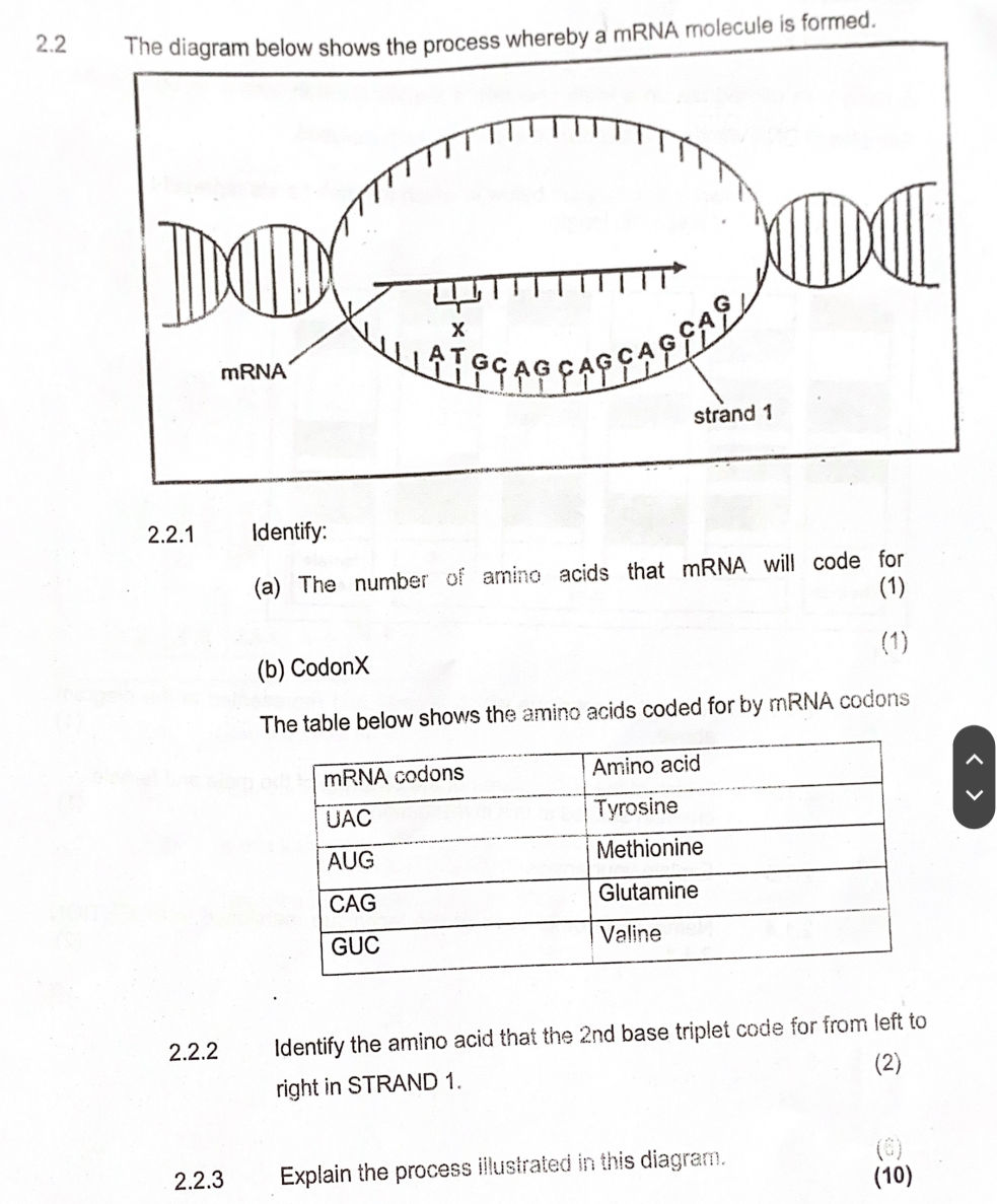 2.2 The diagram below shows the process | StudyX