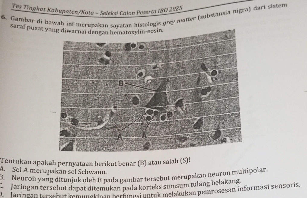 6. Gambar di bawah ini merupakan sayatan | StudyX