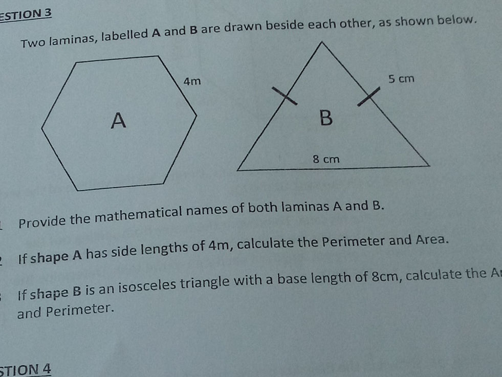 Two laminas, labelled A and B are drawn | StudyX