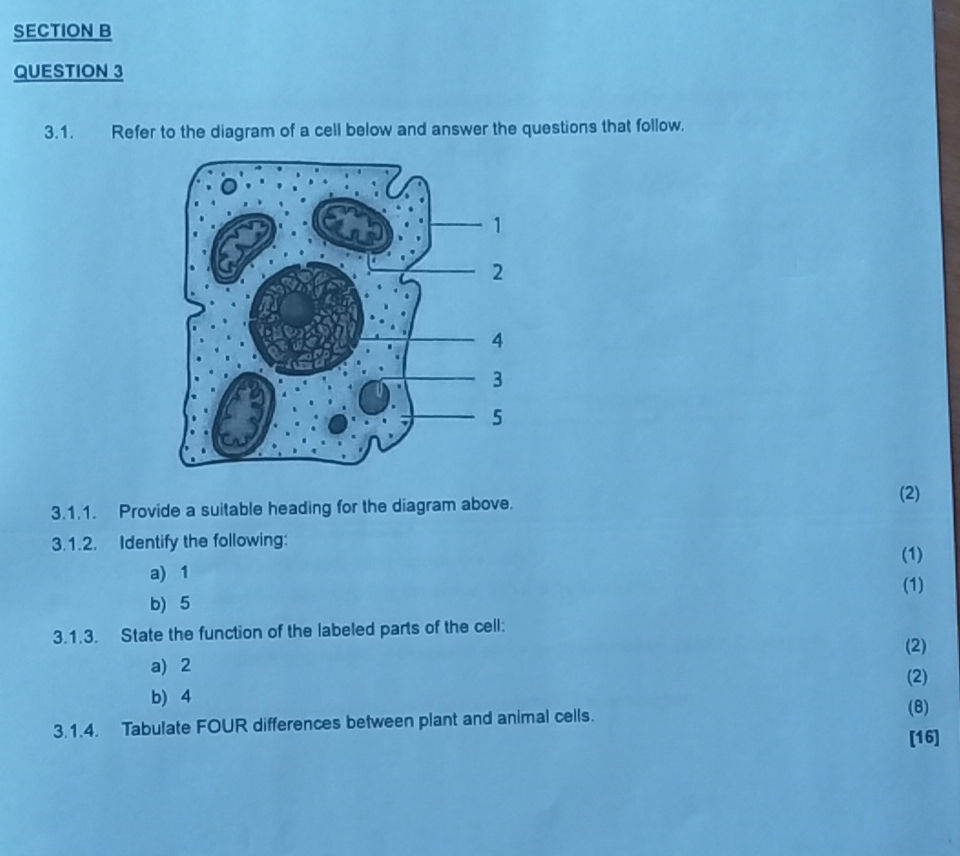 3.1. Refer to the diagram of a cell below | StudyX