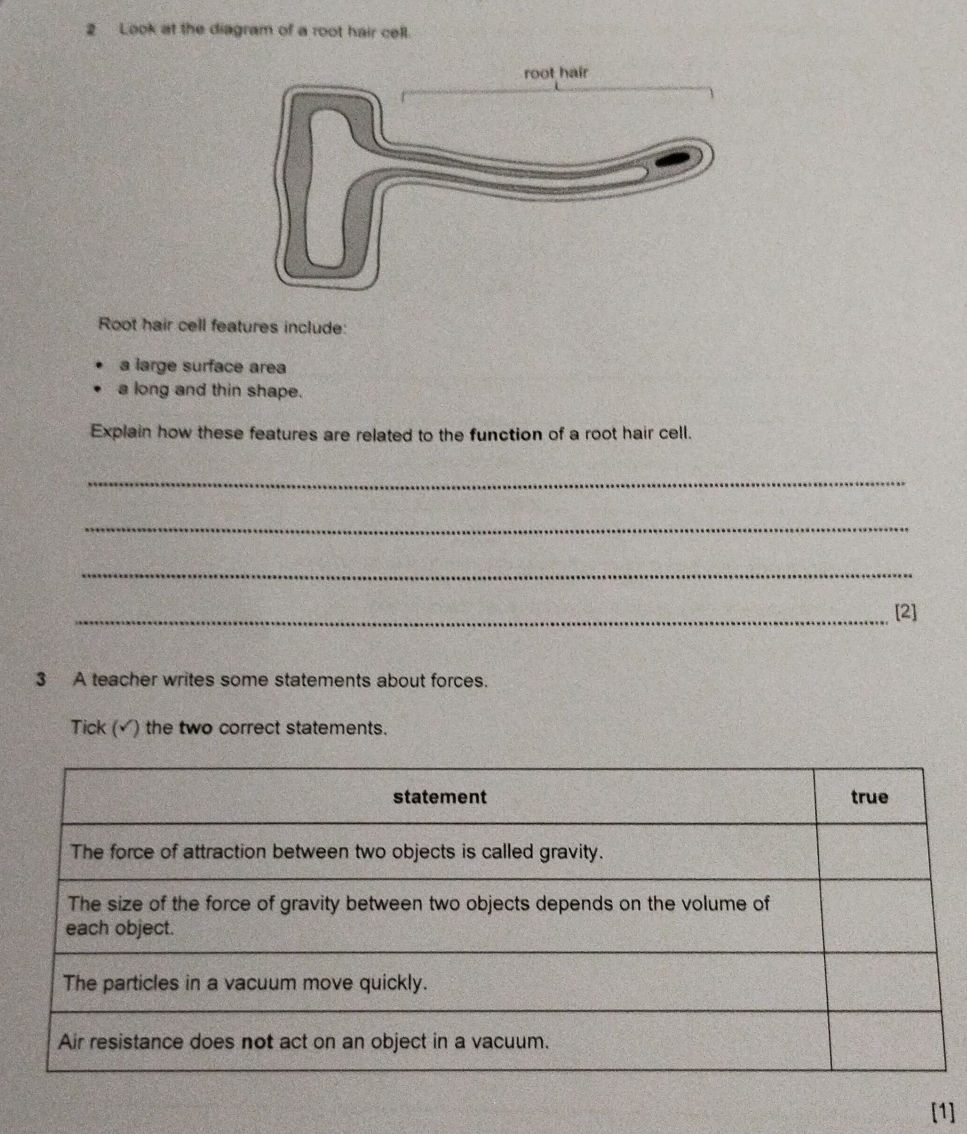 2 Look at the diagram of a root hair cell. | StudyX