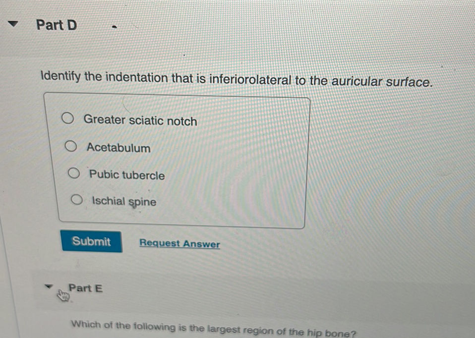 Identify the indentation that is | StudyX