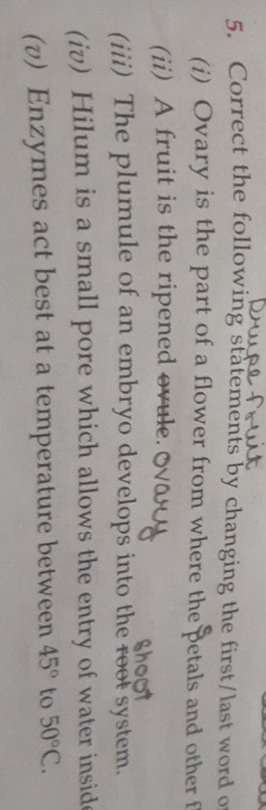 5. Correct the following statements by | StudyX