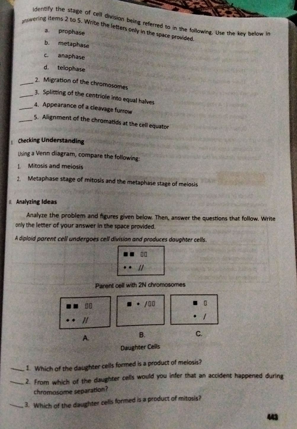 Identify the stage of cell division being | StudyX