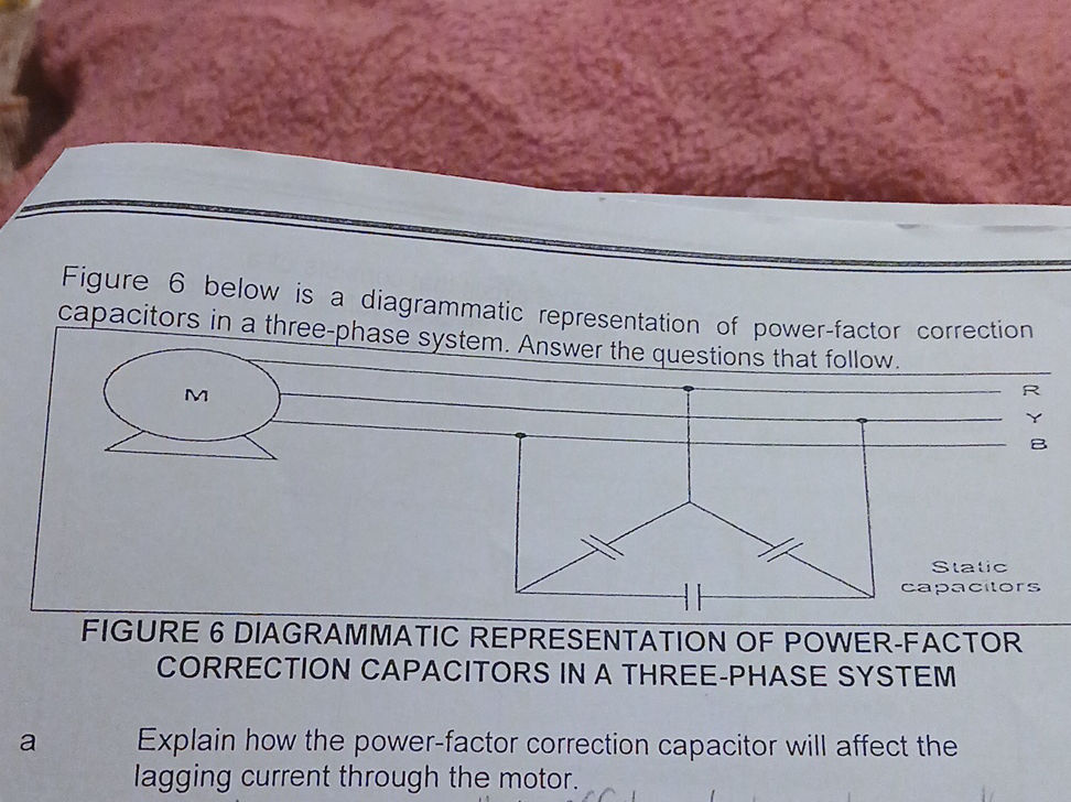 Figure 6 below is a diagrammatic | StudyX