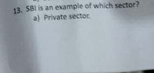 13. SBI is an example of which sector? a) | StudyX
