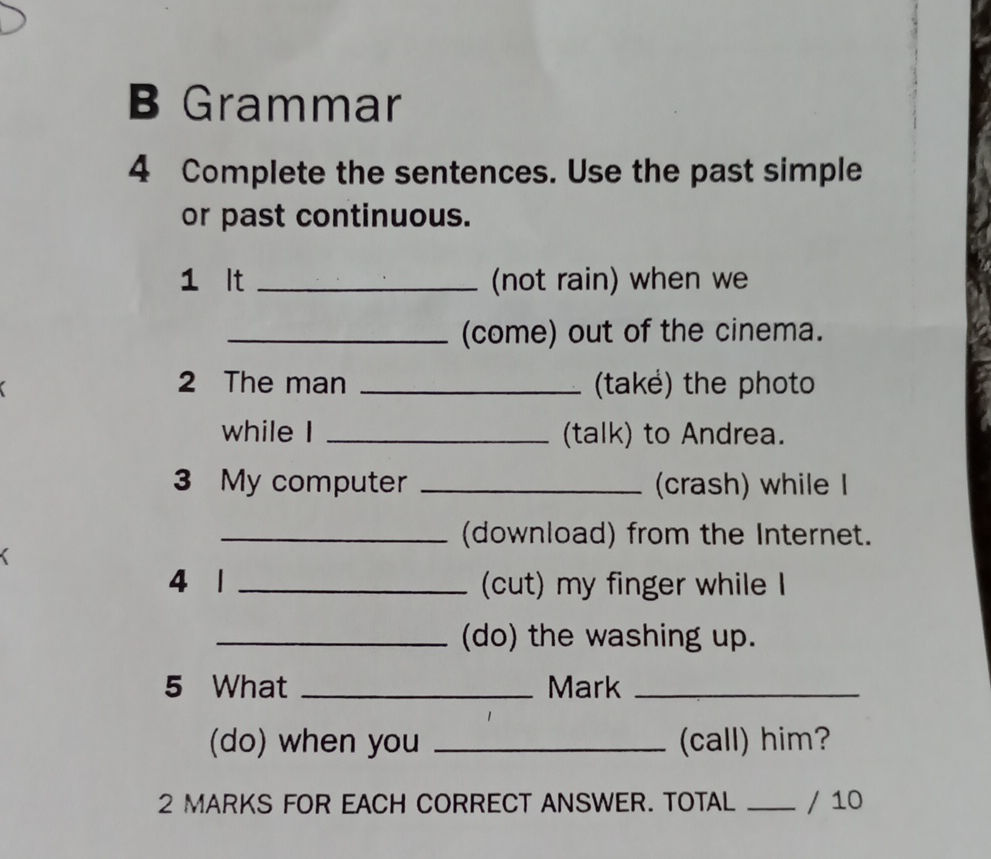 Complete the sentences. Use the past simple | StudyX