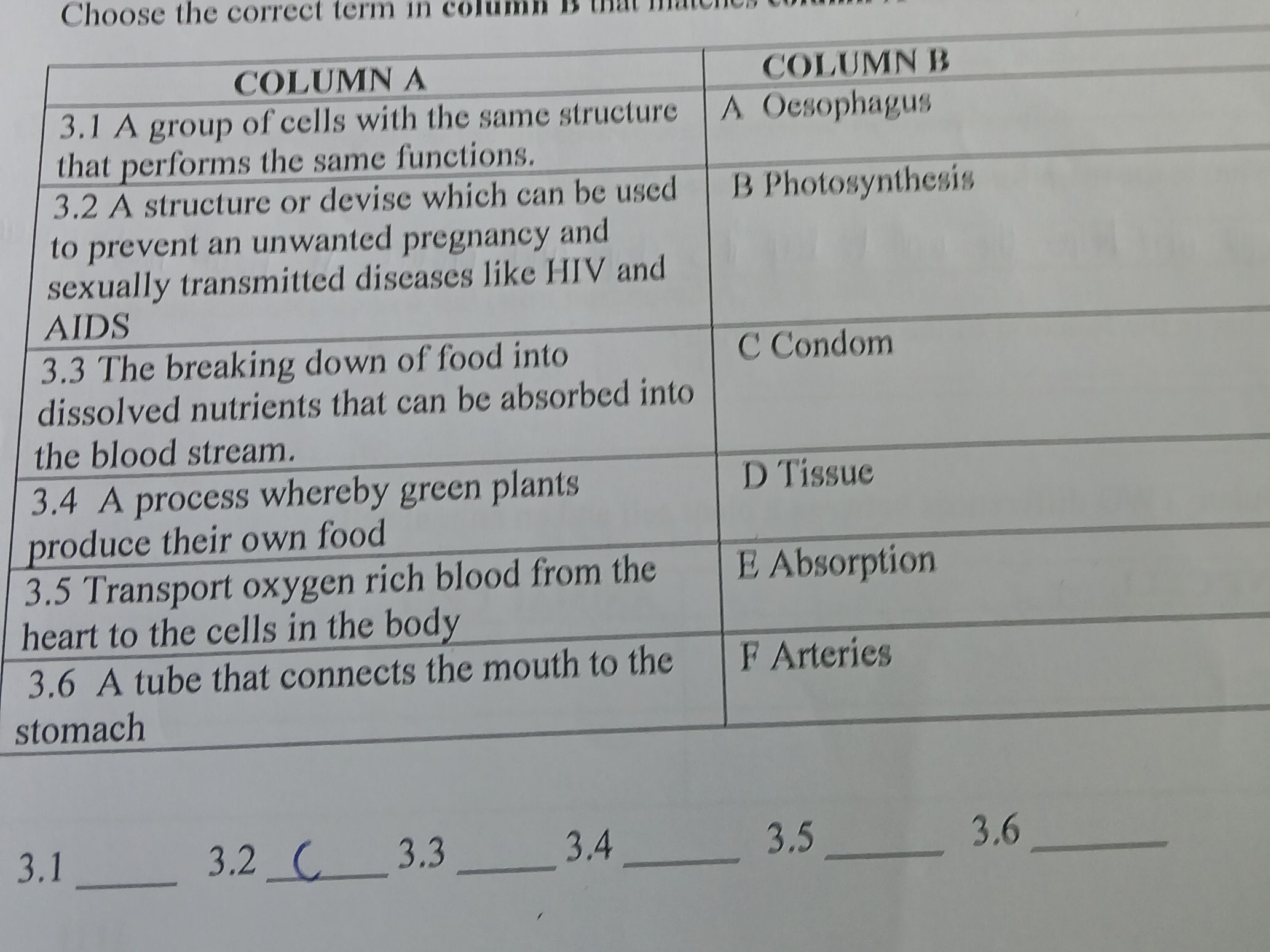 lticolumn{1}{|c|}{ COLUMN A } COLUMN B | StudyX