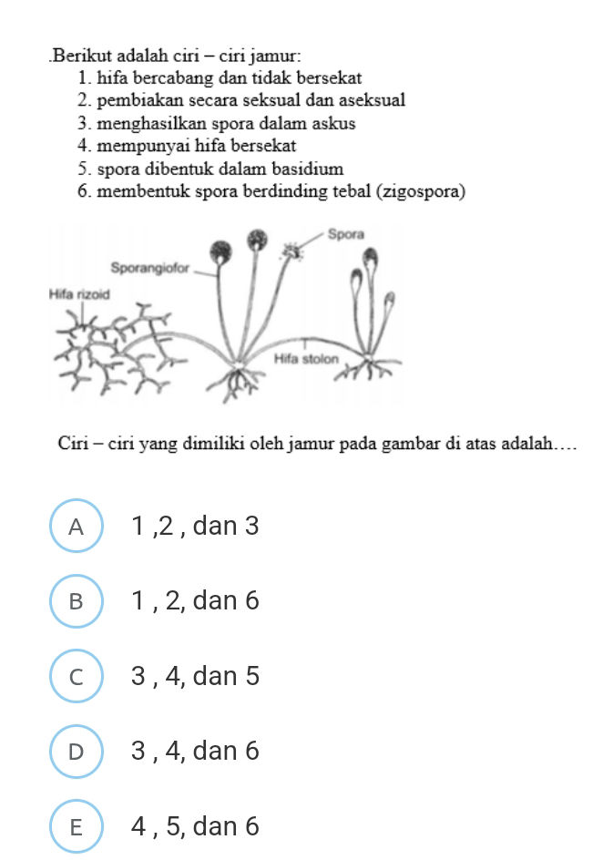 Berikut adalah ciri-ciri jamur: 1. hifa | StudyX