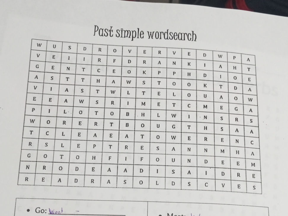 Past Simple Wordsearch: Go to Went | StudyX