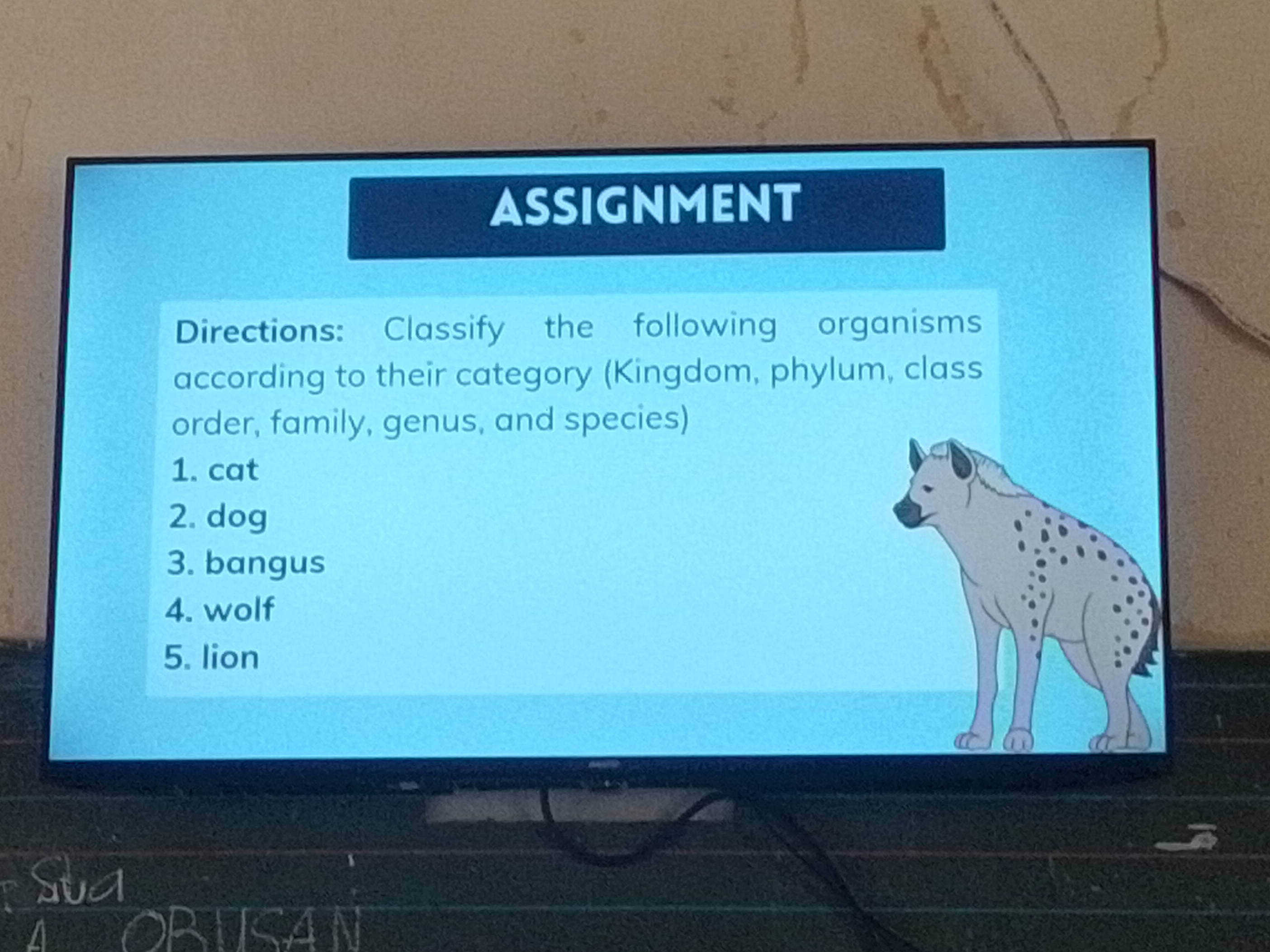 Directions: Classify the following organisms | StudyX