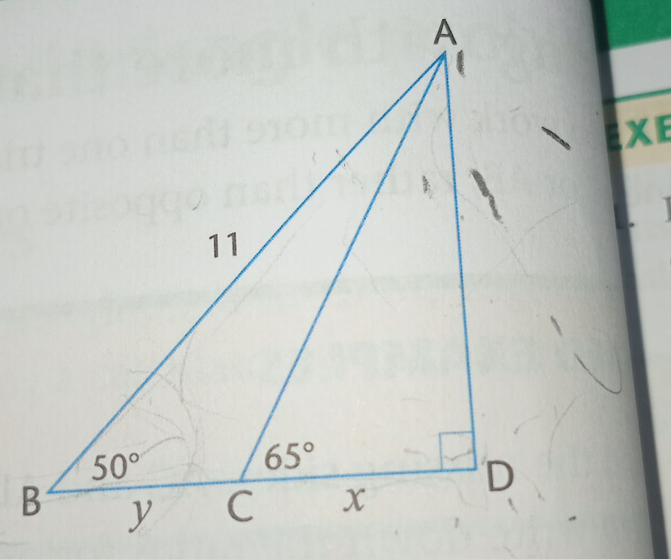 In the given figure, find the values of x | StudyX