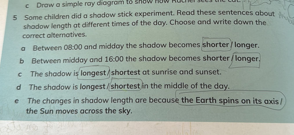 5 Some children did a shadow stick | StudyX