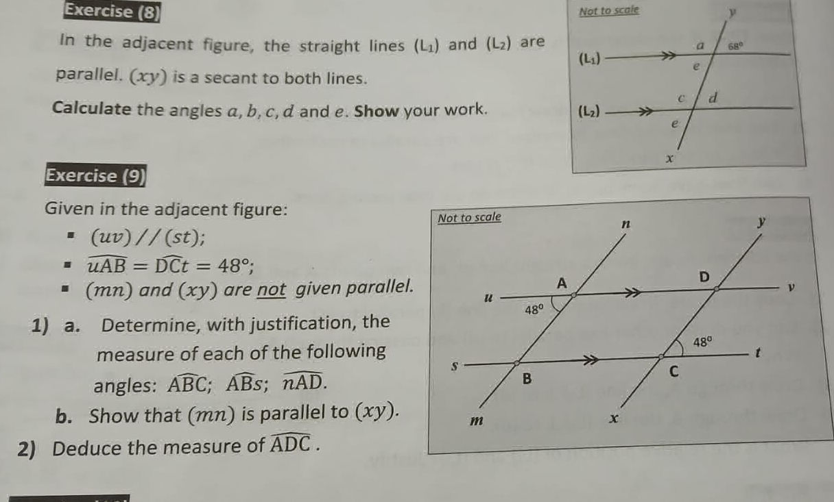 Exercise (8) In the adjacent figure, the | StudyX