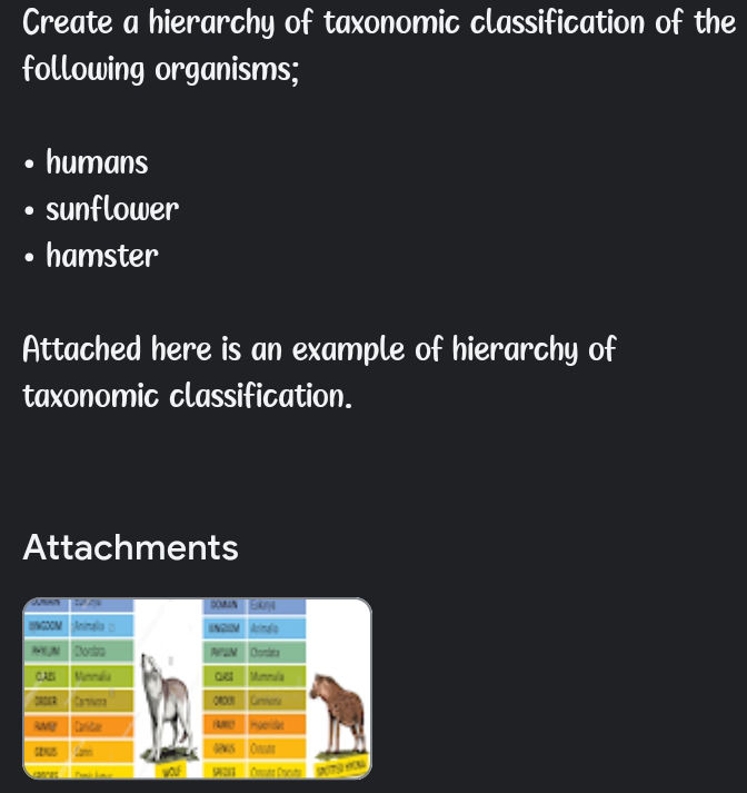 Create a hierarchy of taxonomic | StudyX