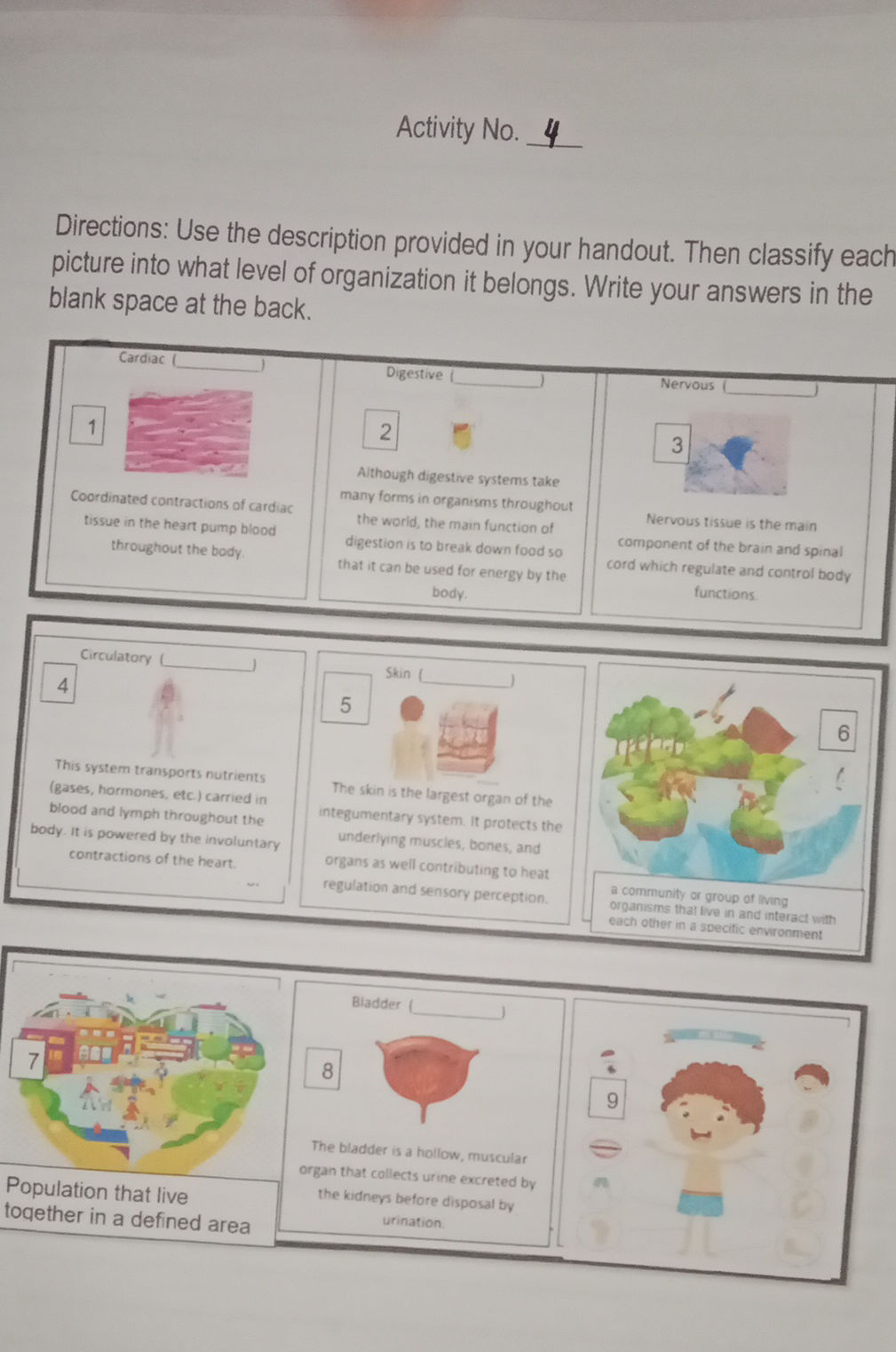 Activity No. 4 Directions: Use the | StudyX