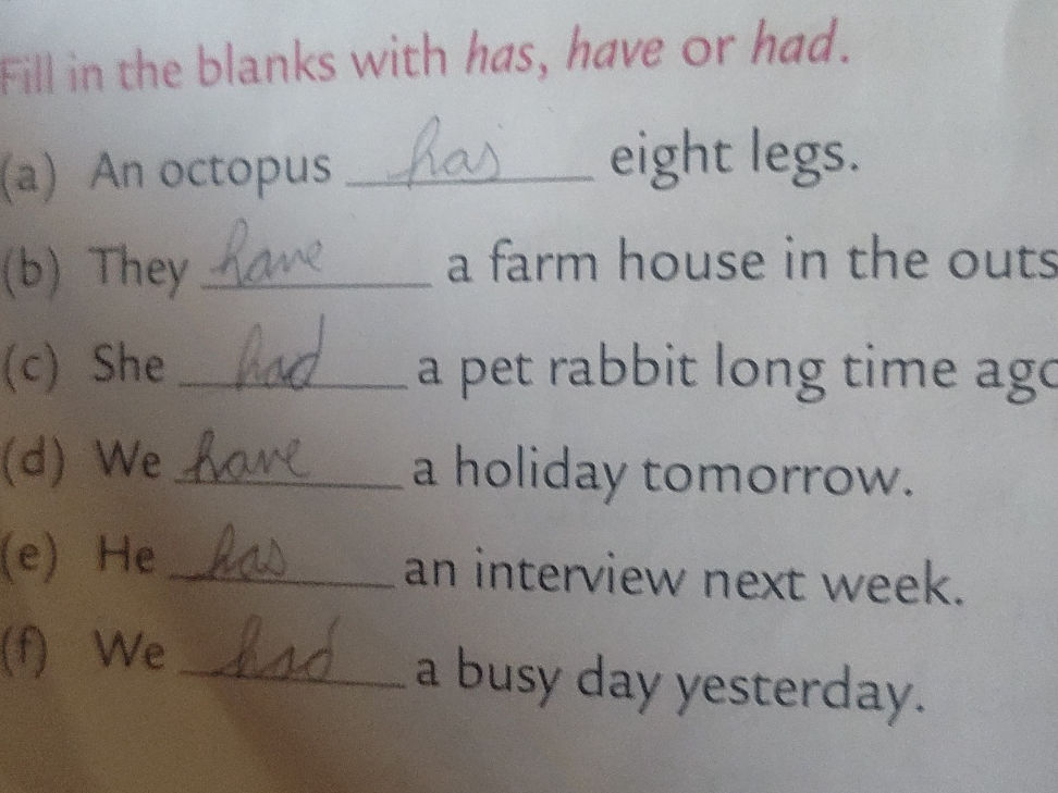 Fill in the blanks with has, have or had. | StudyX