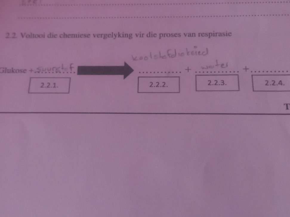 2.2. Voltooi die chemiese vergelyking vir | StudyX