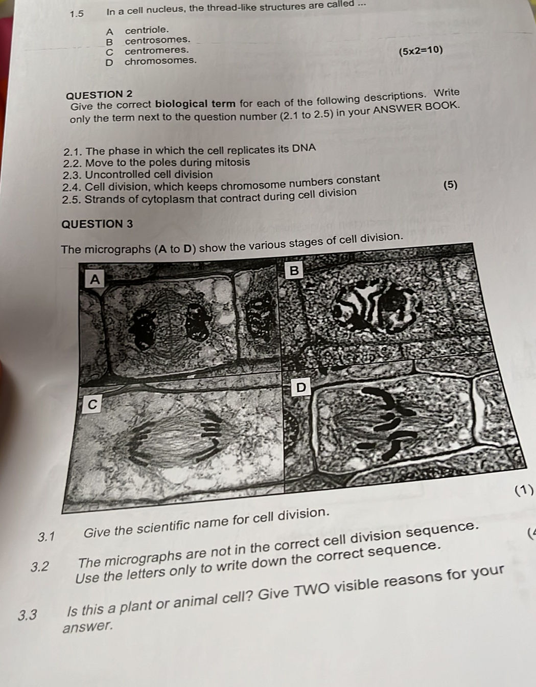 1.5 In a cell nucleus, the thread-like | StudyX