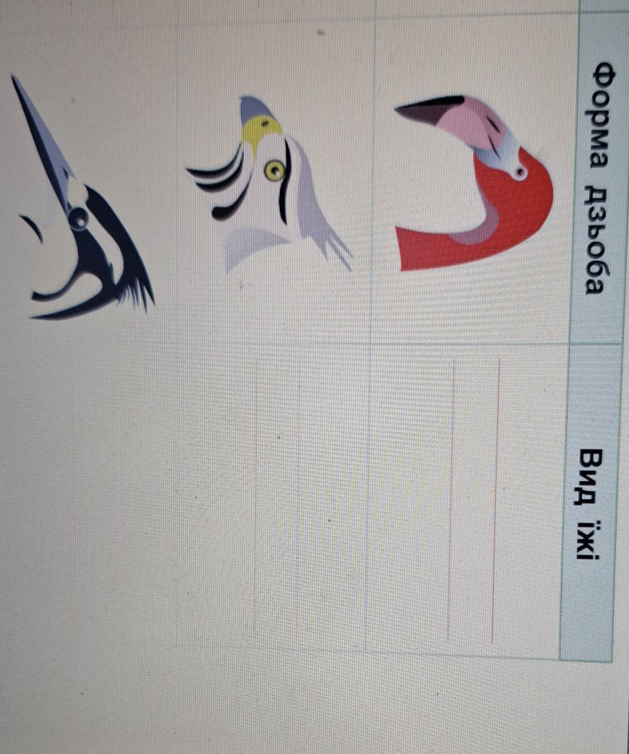 The image shows different bird beaks and | StudyX